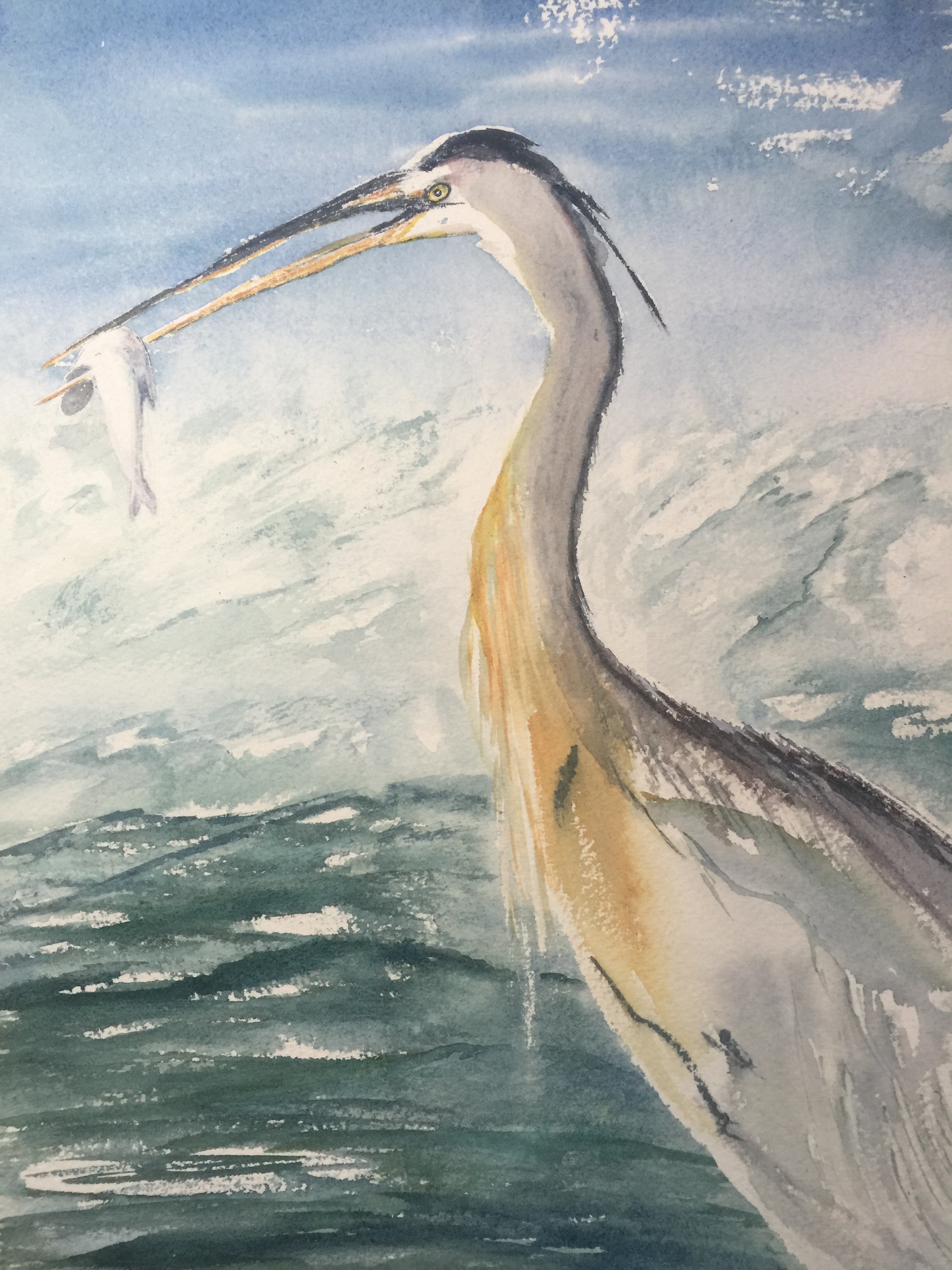 An Invitation | William J. Cook