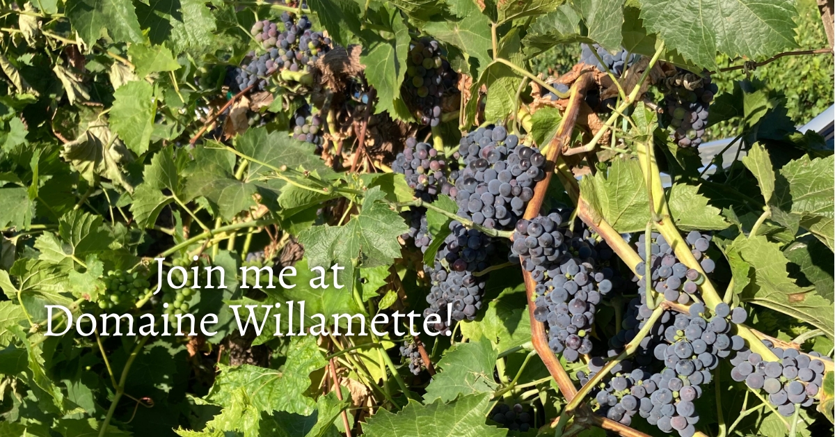A Wine and Mystery Event! | William J. Cook